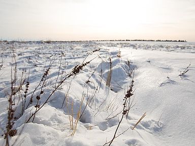 0 308th Ave, Presho, SD 57568 | Zillow