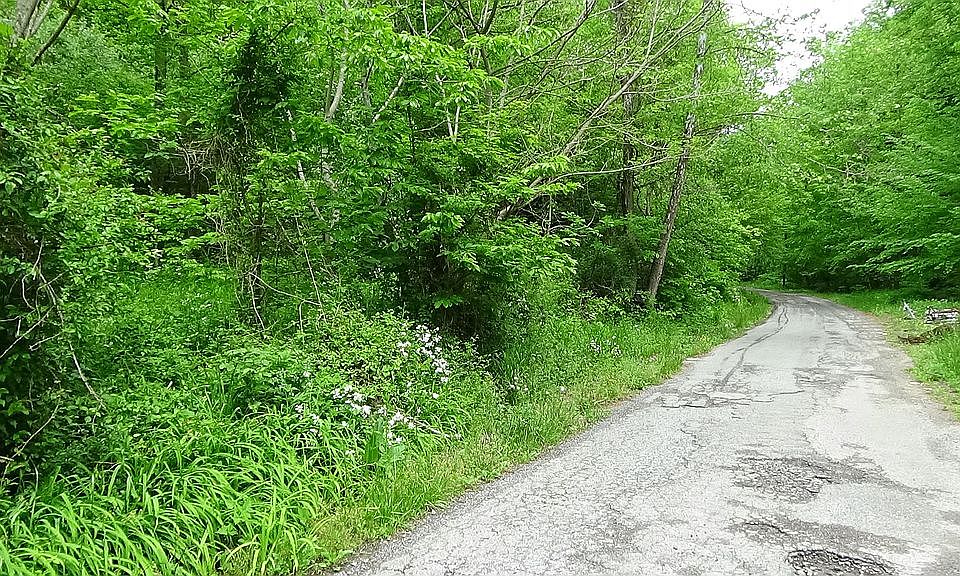 Turkey, Baisden, WV 25608 | Zillow