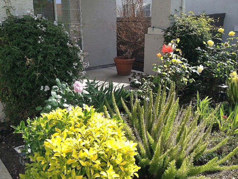 180 Mike Gartrell Cir, Sacramento, CA 95835 | Zillow