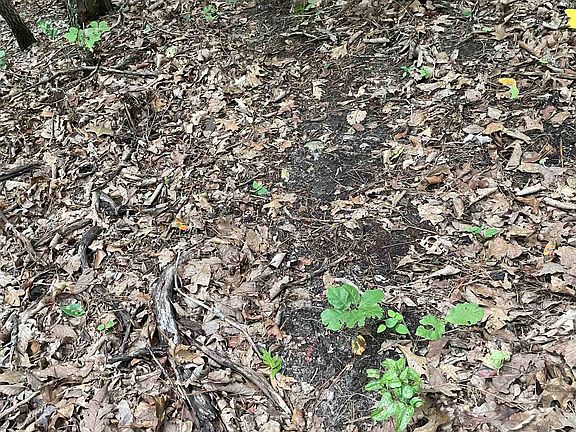 Timber Trl, Hayden, AL 35079 | MLS #519644 | Zillow