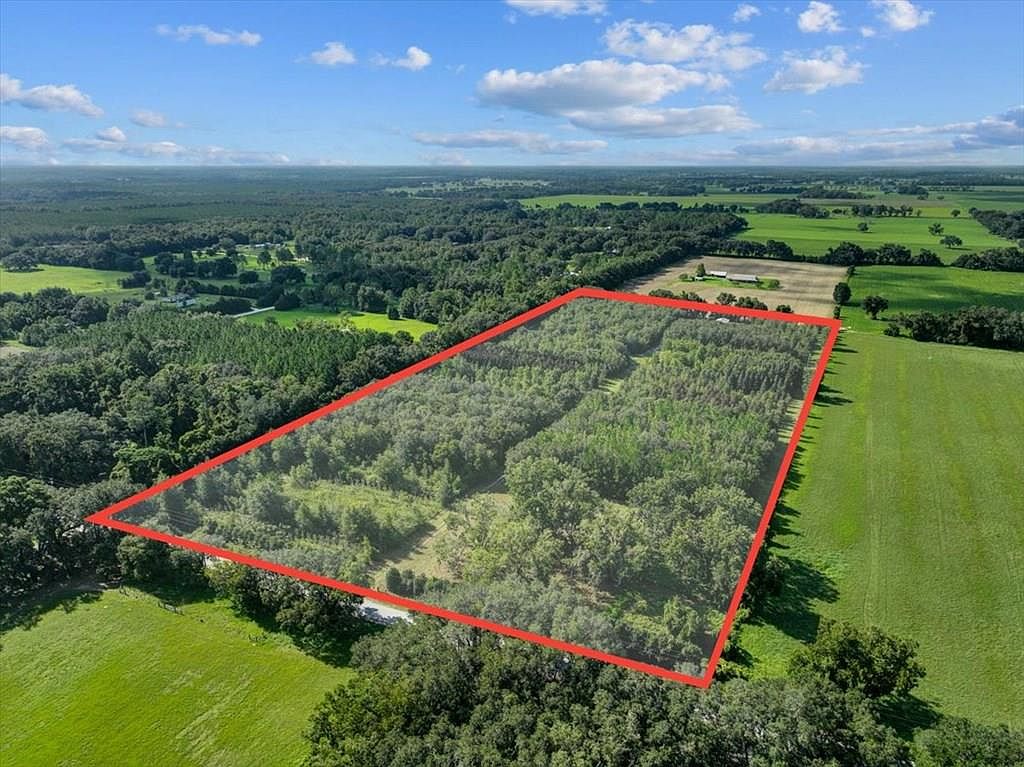 19 acres NE 140th St, Trenton, FL 32693 | MLS #791260 | Zillow