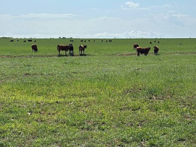 0 E County Road 54 #216, Mutual, OK 73853 | MLS #11493041 | Zillow