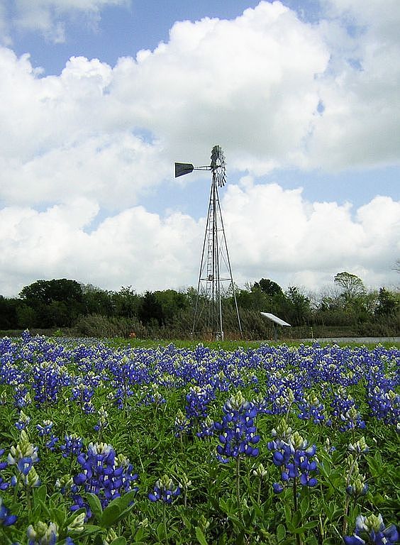 5637 Post Oak Point Rd, New Ulm, TX 78950 | Zillow