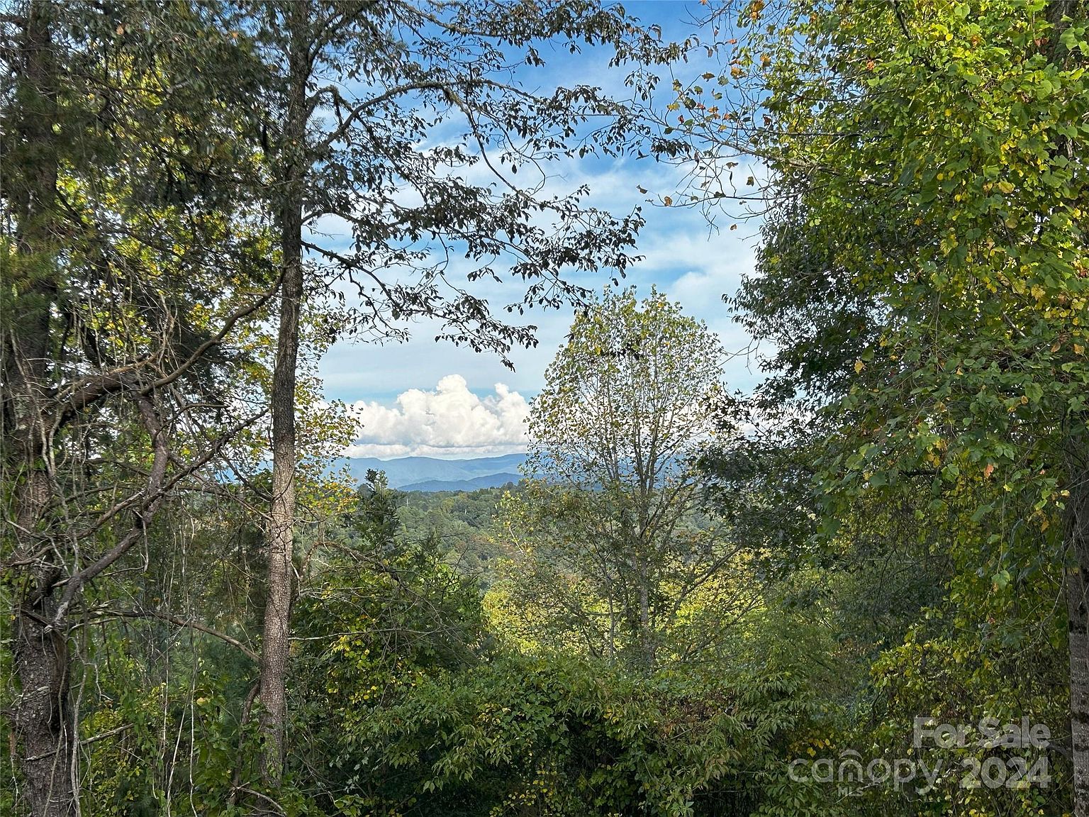 Cabin Hollow Dr #11, Marshall, NC 28753 | Zillow