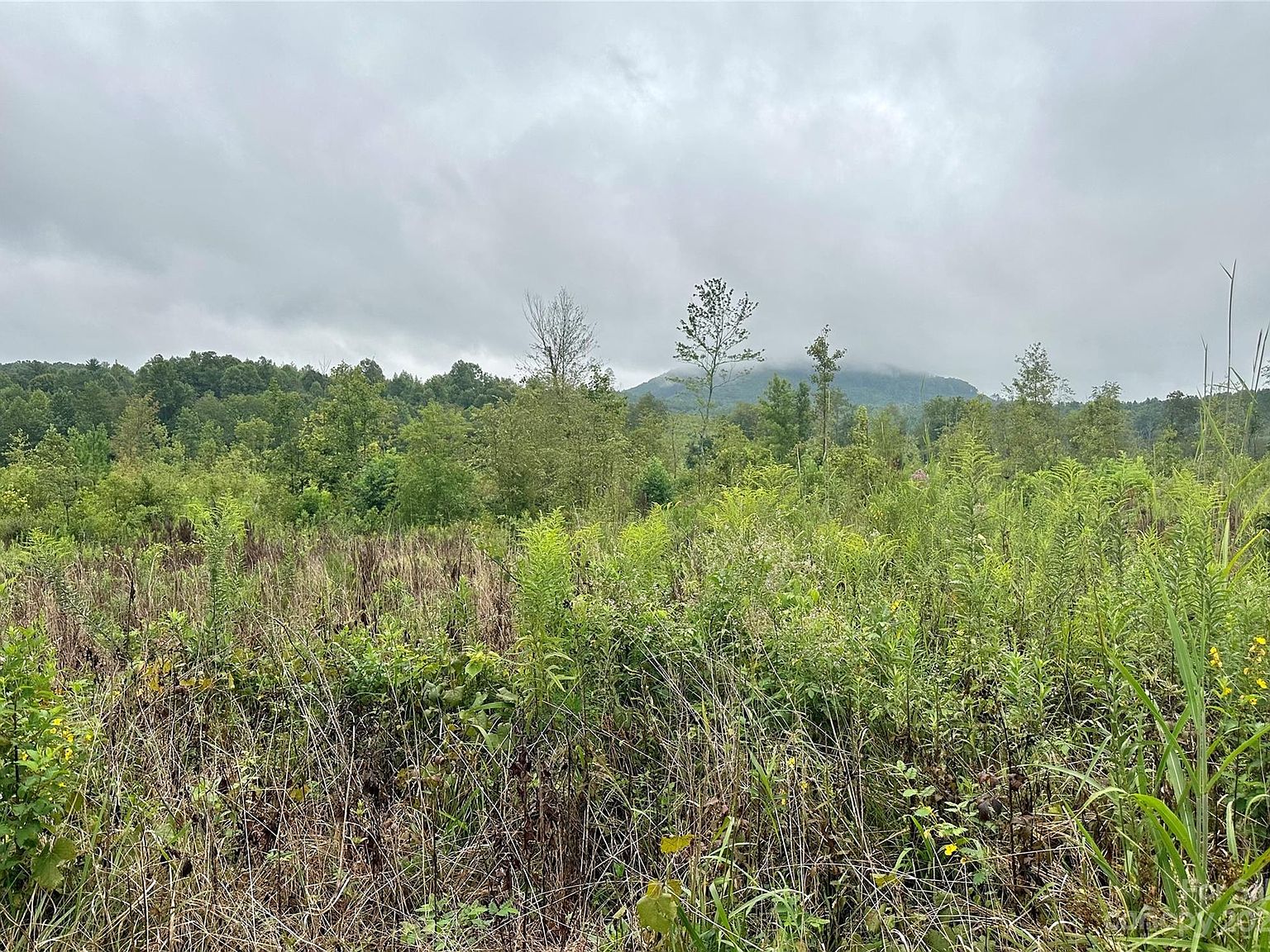 0 Dysartsville Rd, Nebo, NC 28761 | Zillow