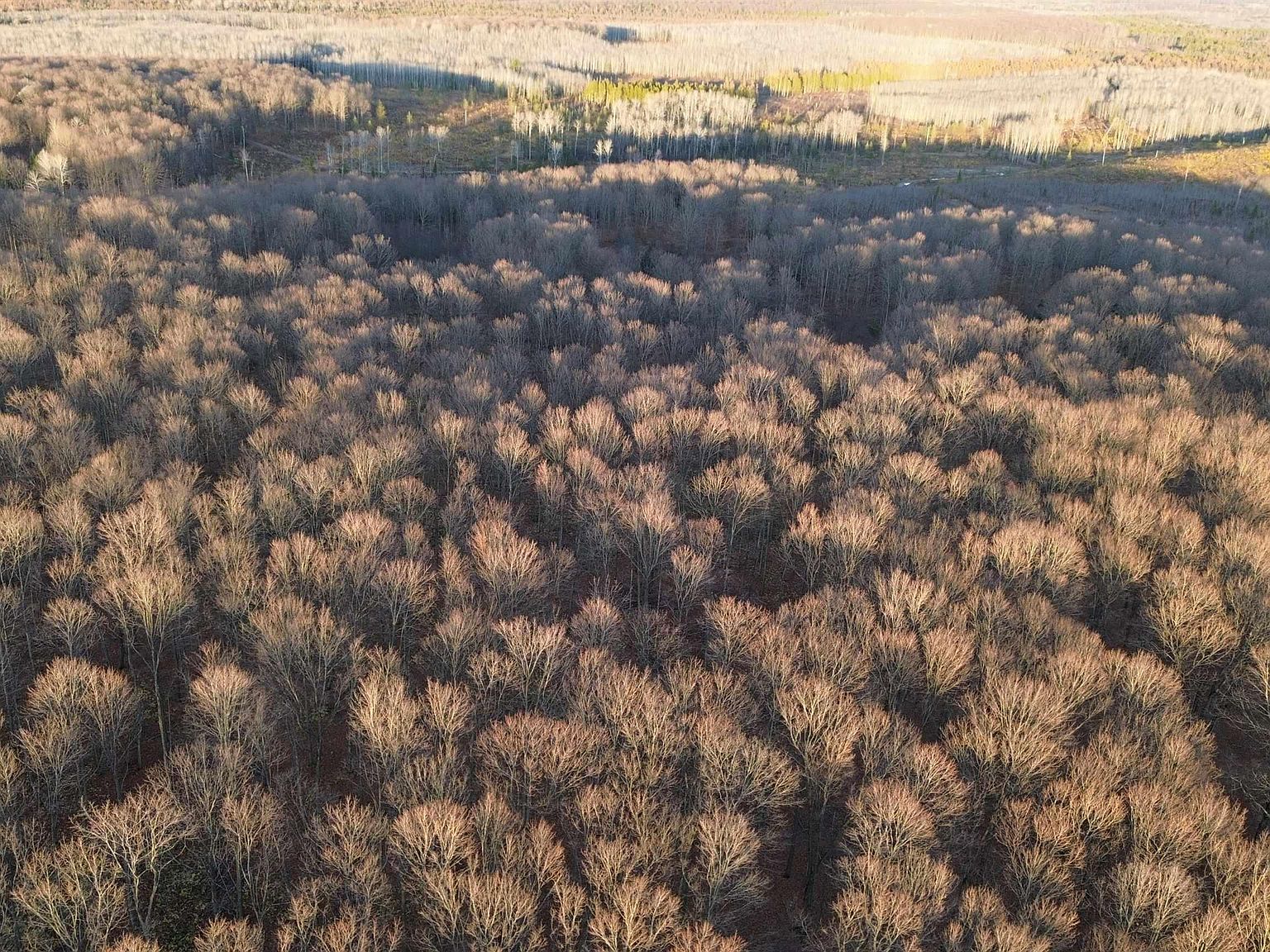 Off Of Cty M26 M5 Rd, Ralph, MI 49877 | Zillow