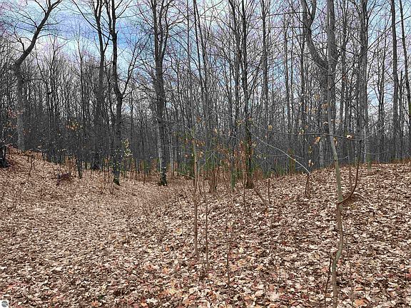 LOT 15 S Mistys Trl, Empire, MI 49630 | MLS #1930186 | Zillow