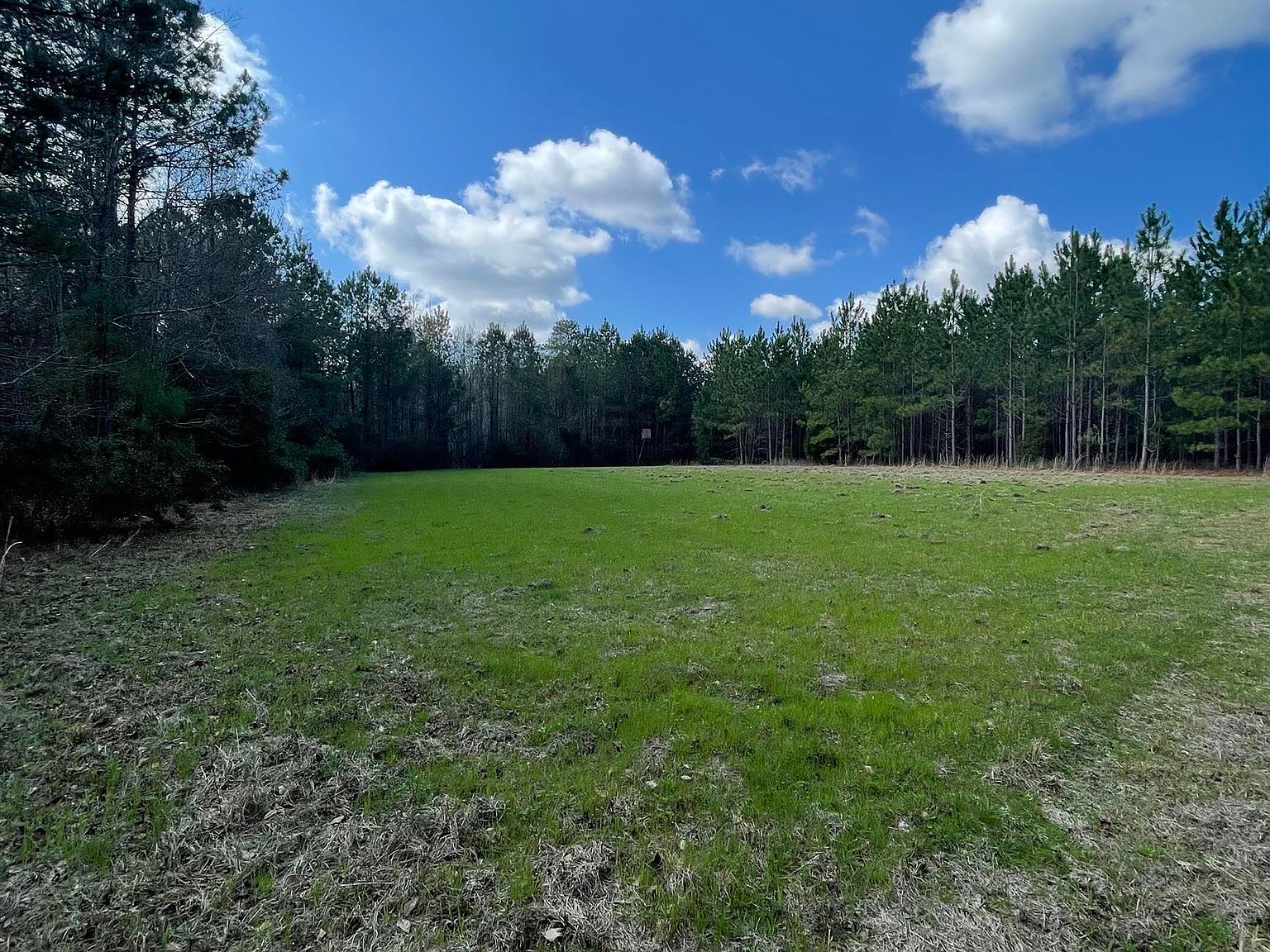 0 Fish Rd, Sylvania, GA 30467 | MLS #20172780 | Zillow