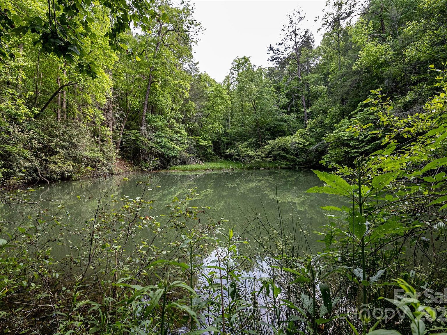 0 Lytle Mountain Rd, Old Fort, NC 28762 | MLS #4155765 | Zillow