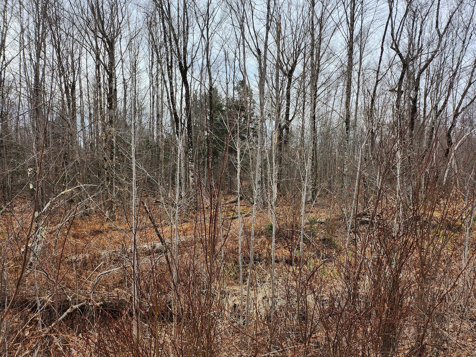 Lot 29-4 Windfall Lane, Palmyra, ME 04965 | Zillow
