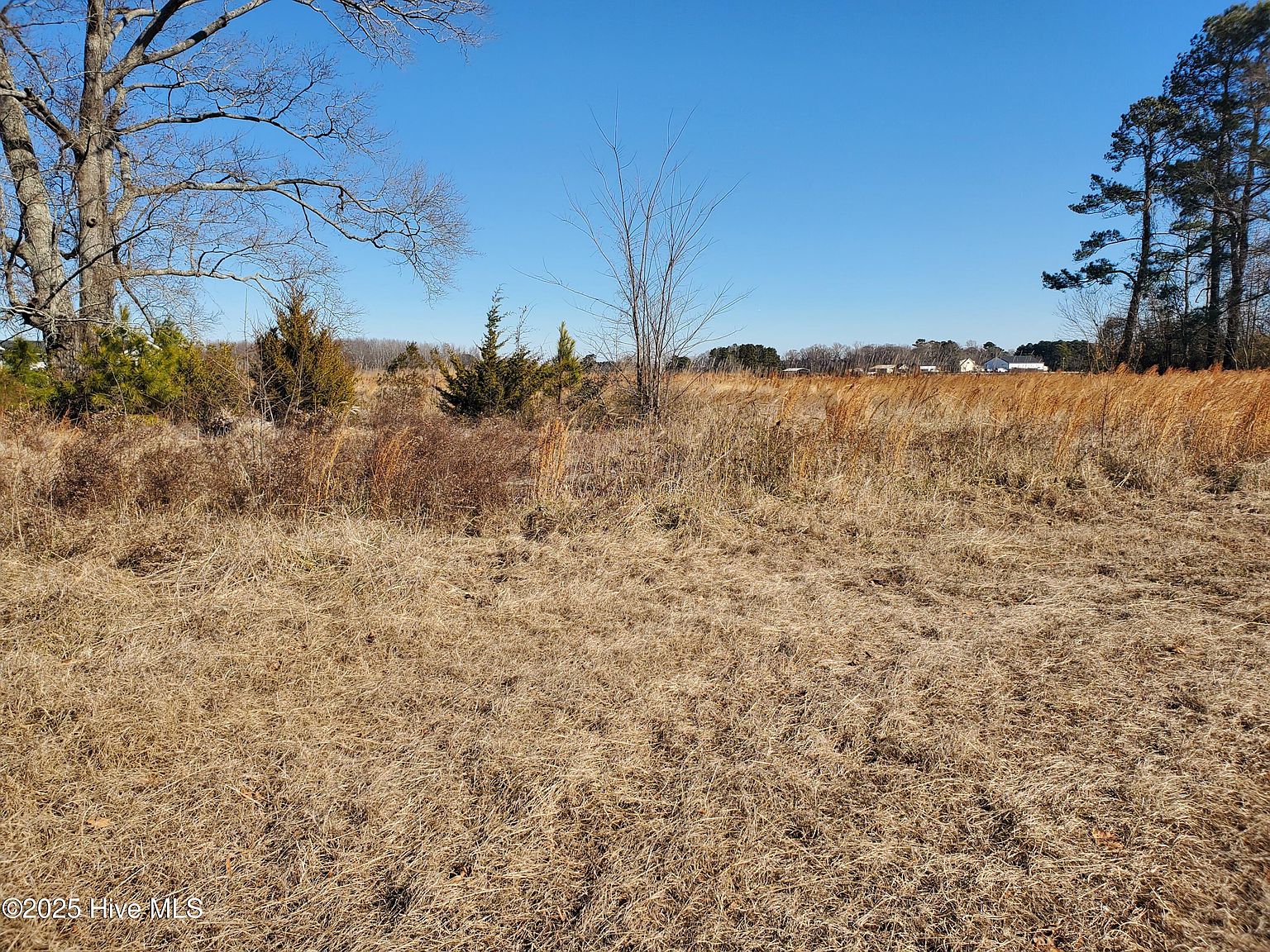 574 Belvidere Road, Belvidere, NC 27919 | MLS #100506688 | Zillow