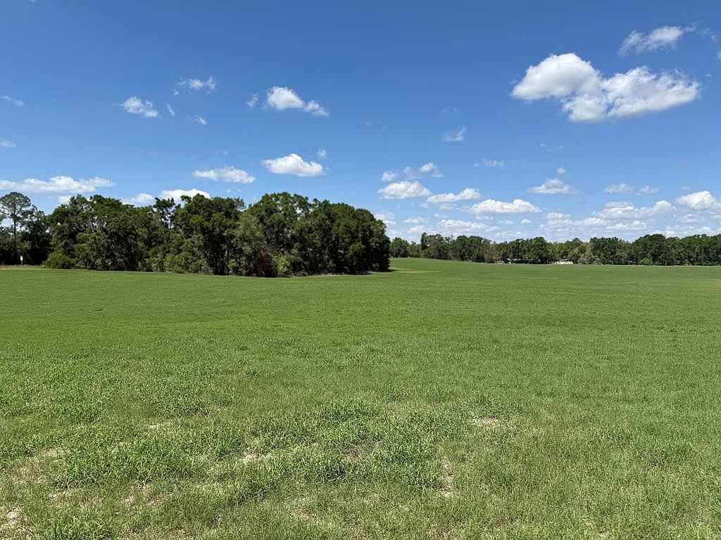 Lot 1 N US Hwy 129, Bell, FL 32619 | MLS #794692 | Zillow