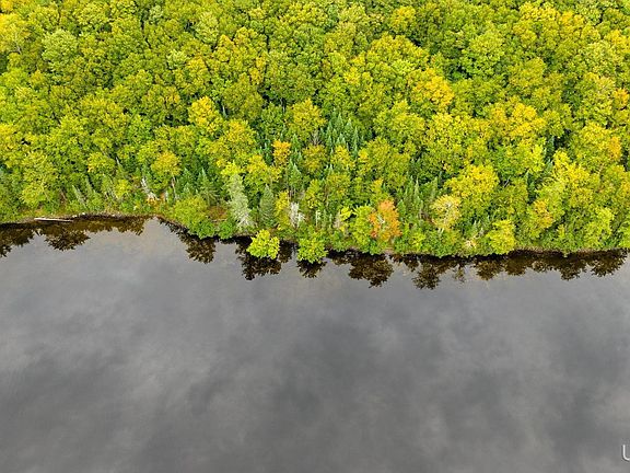 Homan Lake Rd, Iron River, MI 49935 | MLS #50136974 | Zillow
