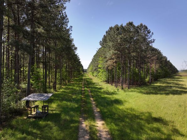 Hamilton Real Estate - Hamilton MS Homes For Sale | Zillow