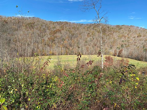 National Forest Rd, Ceres, VA 24318 | Zillow