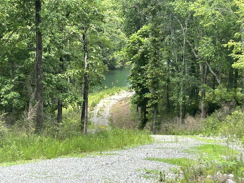 28 Brushy Creek Main, Arley, AL 35541 | MLS #24-973 | Zillow