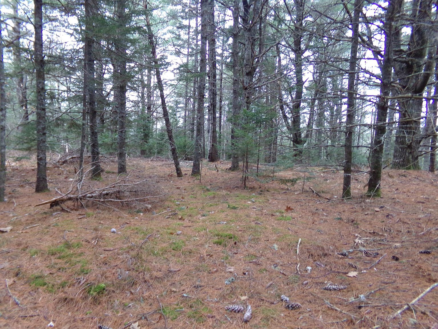 Lot 3-E Rogers Point Road, Steuben, ME 04680 | MLS #1579324 | Zillow