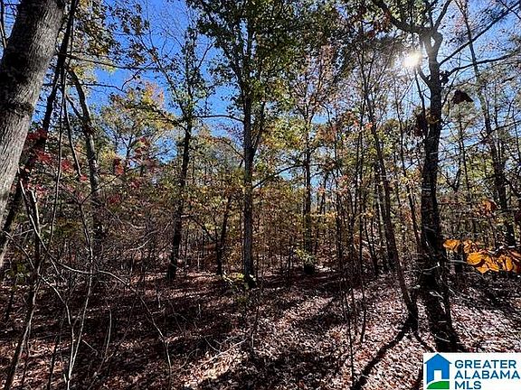 County Road 823, Wadley, AL 36276 | MLS #21404630 | Zillow