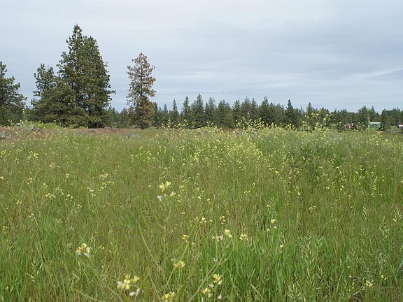 0 Vacant Land Rd, Edwall, WA 99008 | MLS #202419626 | Zillow