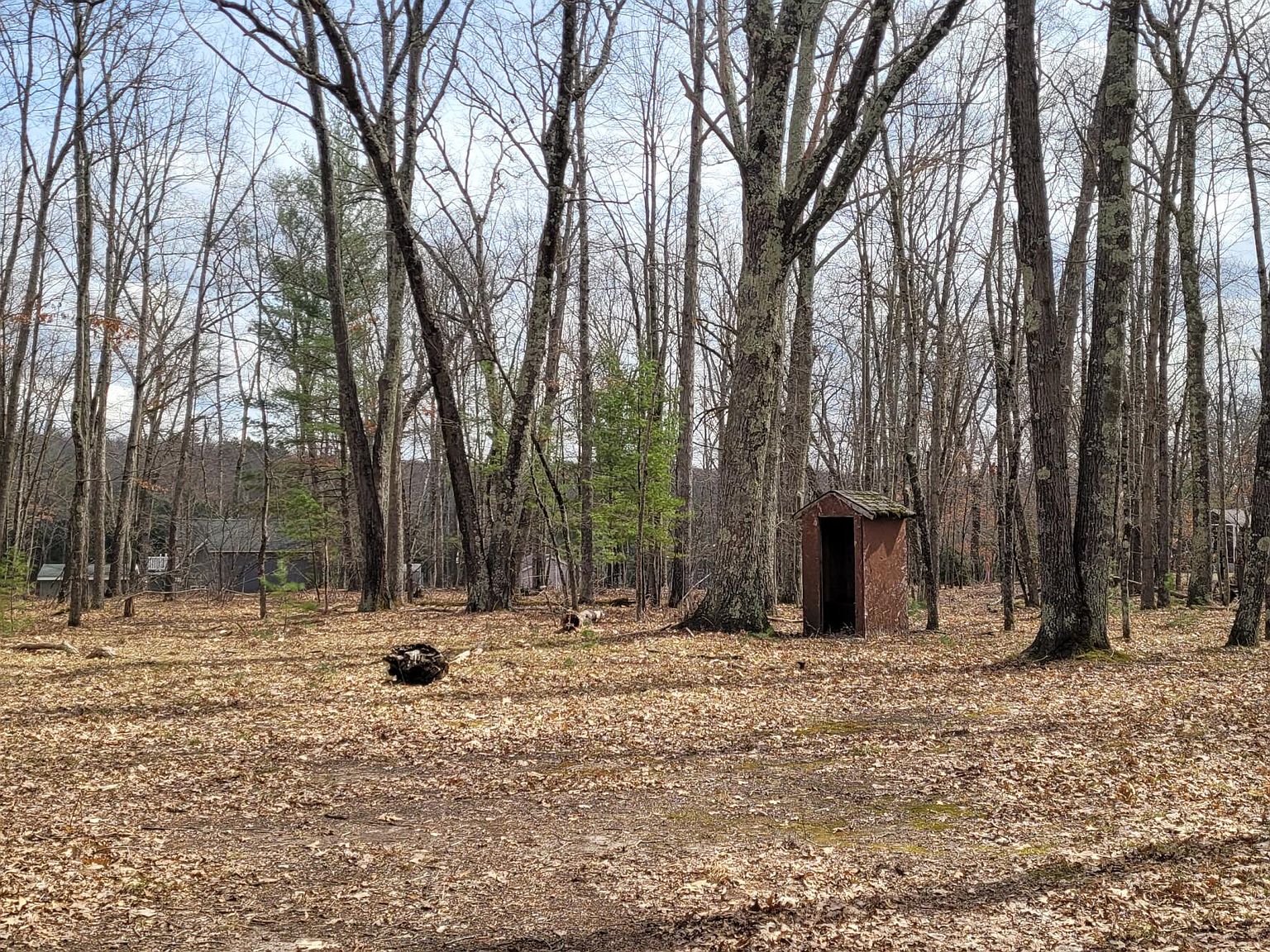 5580 N Syers Dr, Luther, MI 49656 | Zillow