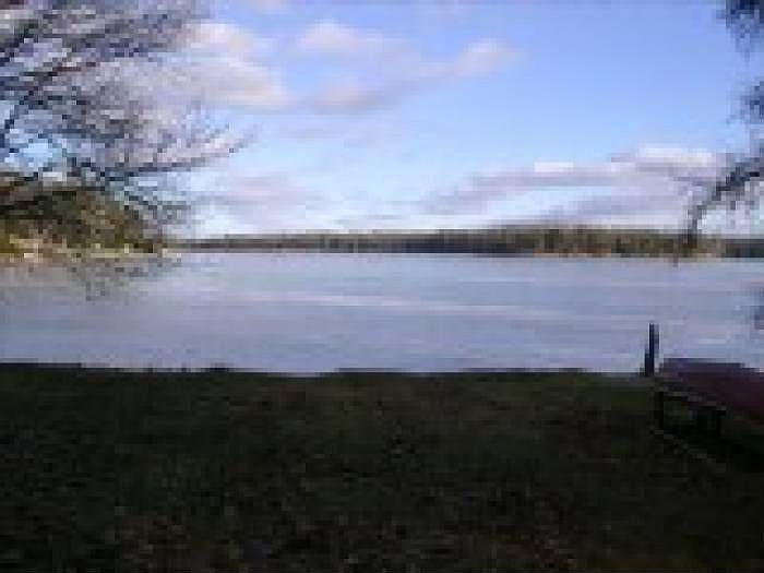 7816 Jose Lake Dr, South Branch, MI 48761 | Zillow