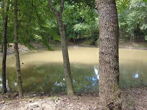 11293 State Highway 62, Caneyville, KY 42721 | Zillow