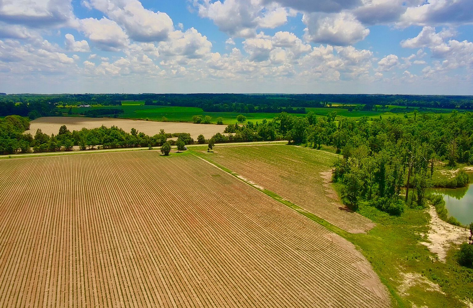 0 Creek Church Rd, Pansey, AL 36370 | MLS #11521111 | Zillow