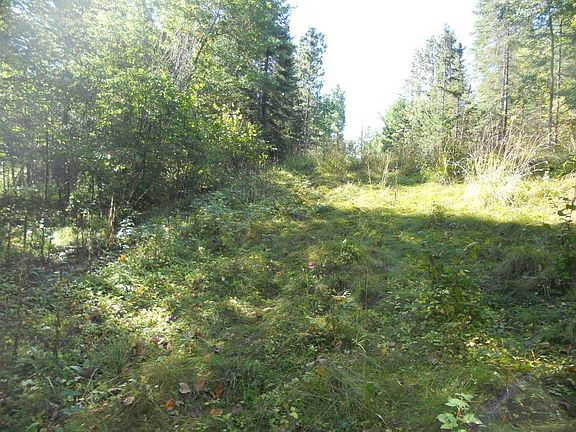 County Road 118 Rd NW, Backus, MN 56435 | MLS #6722672 | Zillow