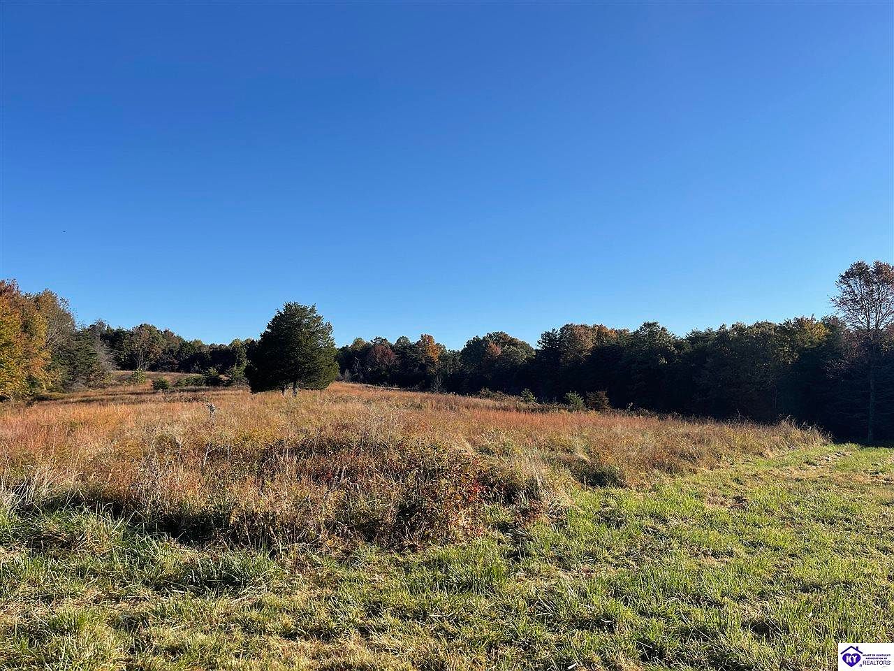 10 Little Clifty Rd, Big Clifty, KY 42712 | Zillow