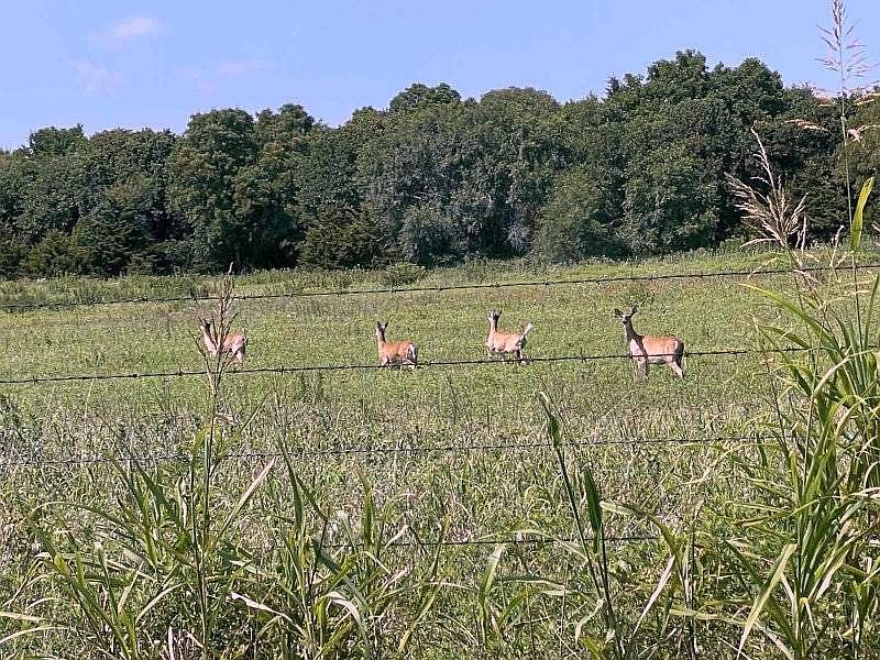 265918 E County Road 49, Ringwood, OK 73768 | Zillow