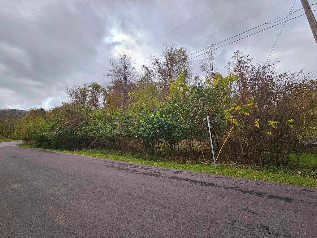 Deer Ridge Trl, Tazewell, VA 24651 | MLS #99124 | Zillow