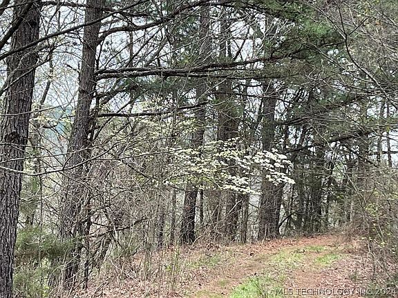 Rural Route Rd, Panola, OK 74559 | MLS #2411004 | Zillow