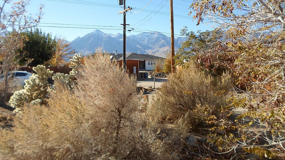 425 S Edwards St, Independence, CA 93526 | Zillow