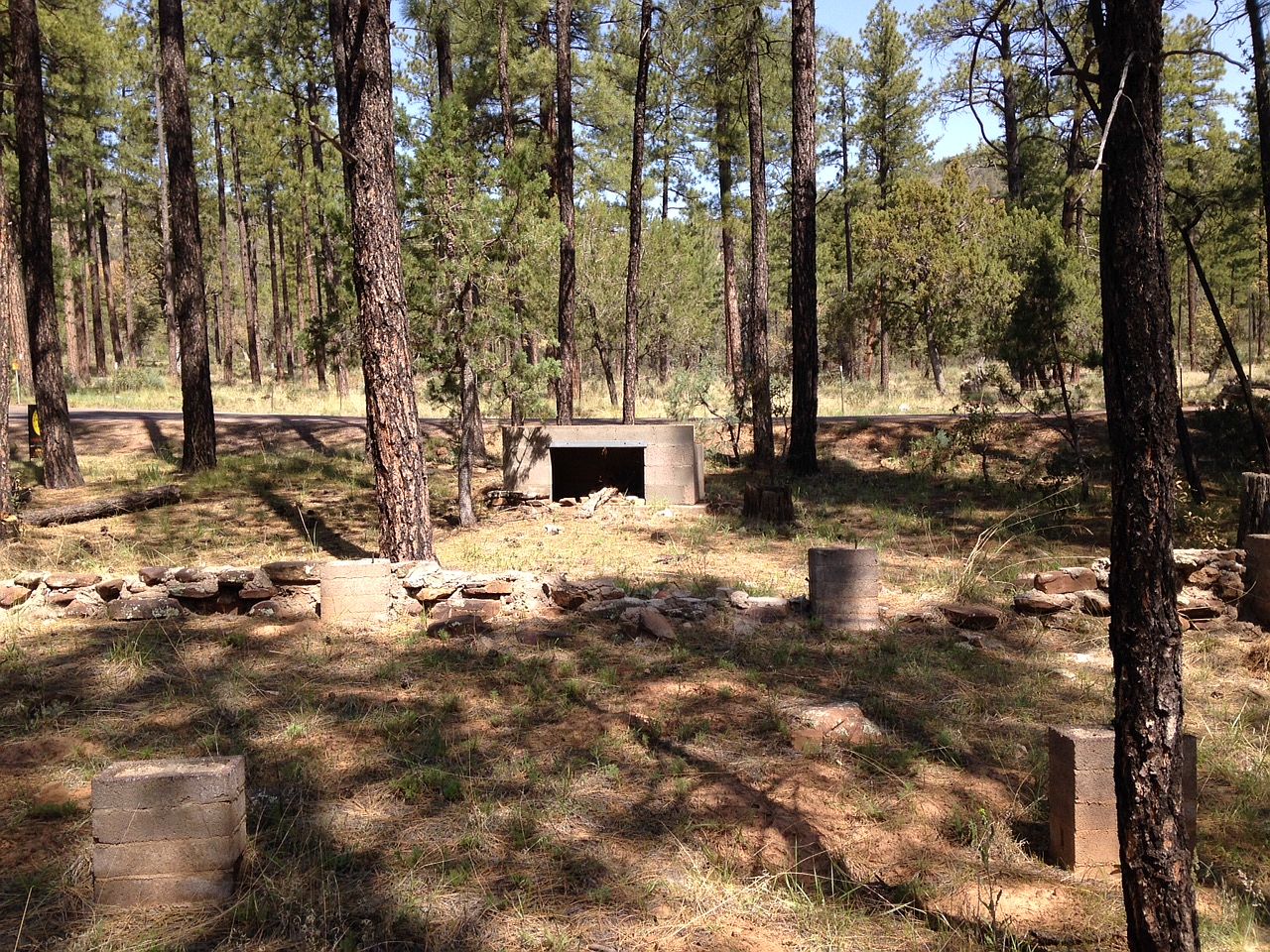 107 W Wingfield Way, Strawberry, AZ 85544 | Zillow