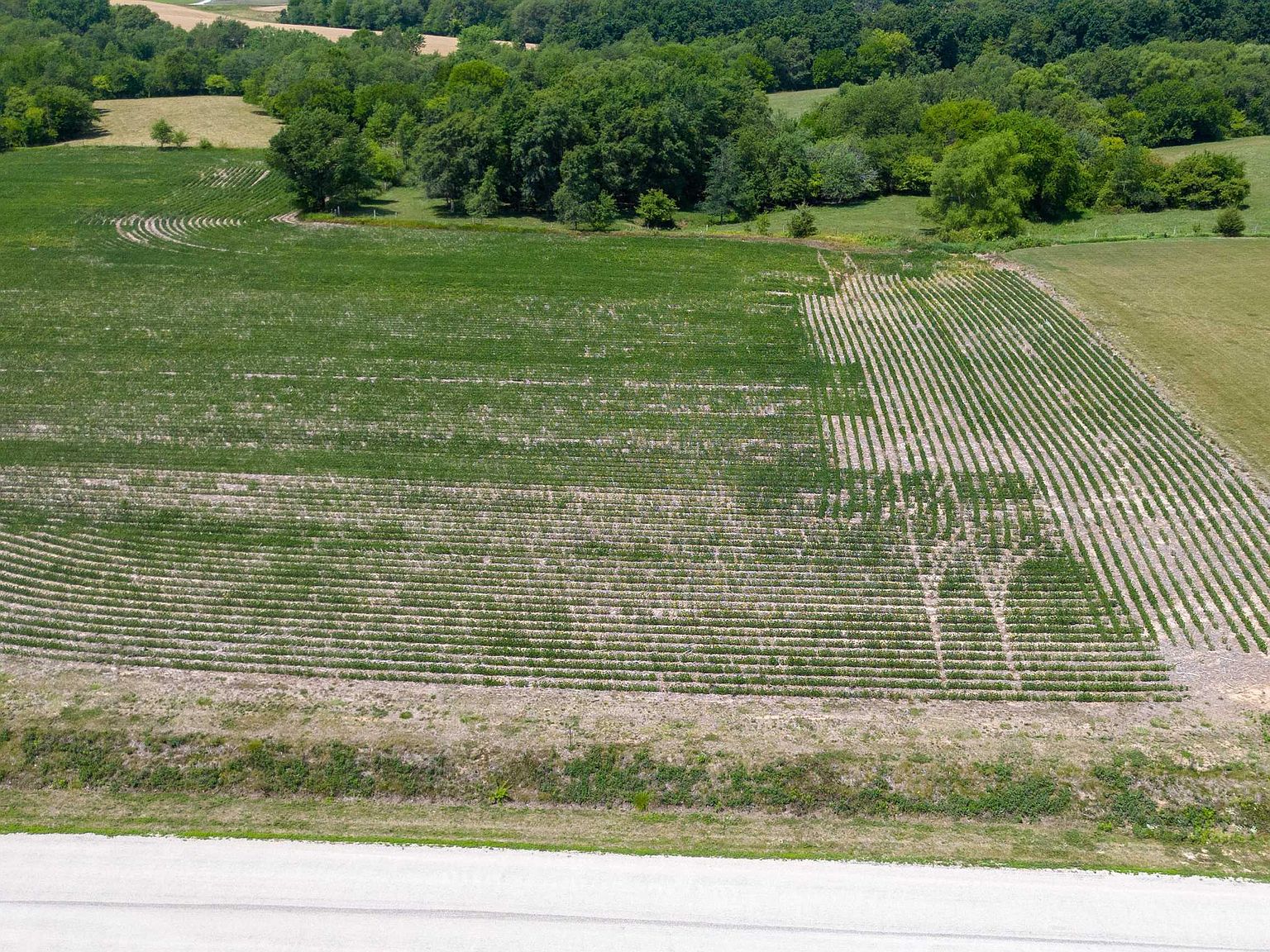 2550 Olof Krans Ave, Galva, IL 61434 | MLS #QC4241958 | Zillow