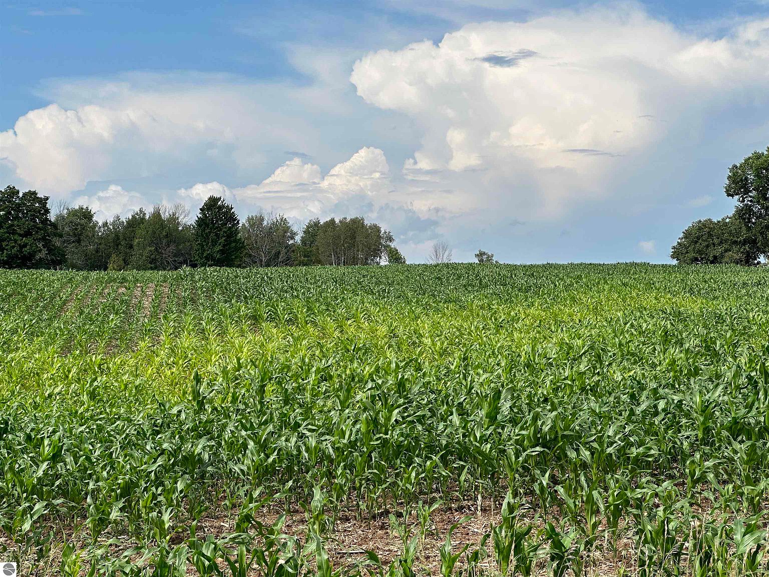 Vl2 19 Mile Rd, Marion, MI 49665 | Zillow