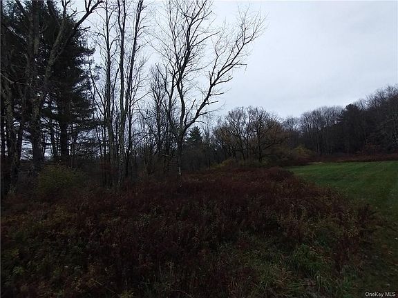 63 Harris Road, Harris, NY 12742 | Zillow