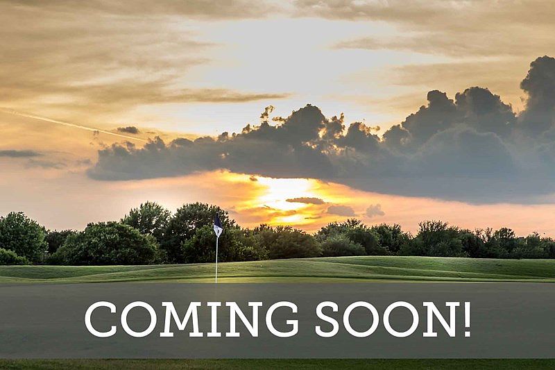 Briggs Ranch 60' by David Weekley Homes in San Antonio TX | Zillow