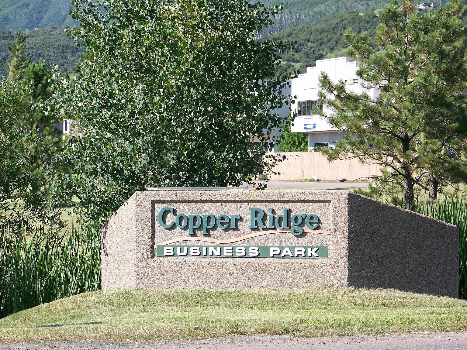 2520 Copper Ridge Dr UNIT 1, Steamboat Springs, CO 80487 | Zillow