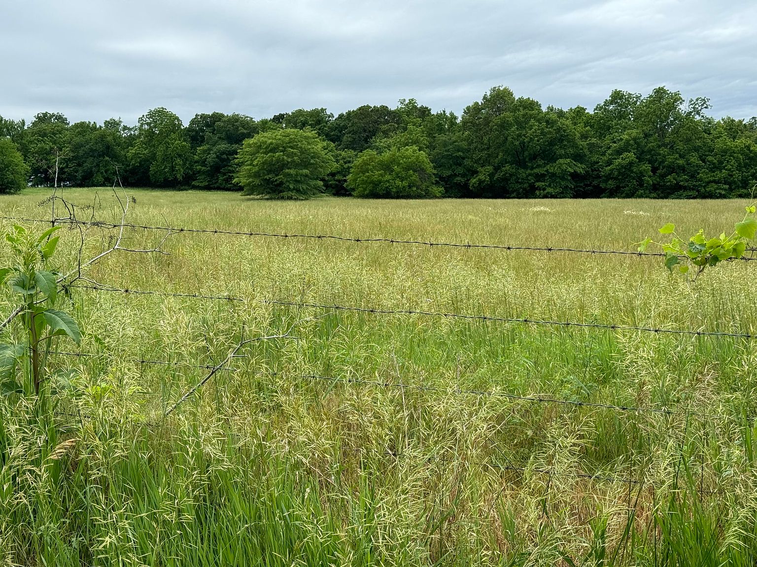 000 N Farm Rd 225, Fair Grove, MO 65648 | Zillow