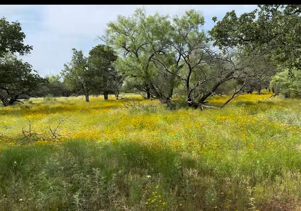 320 Pumphrey Rd Loving TX | Zillow