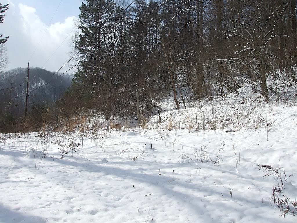 0 Little Elk Hode Rd, Warfield, KY 41267 | MLS #124464 | Zillow