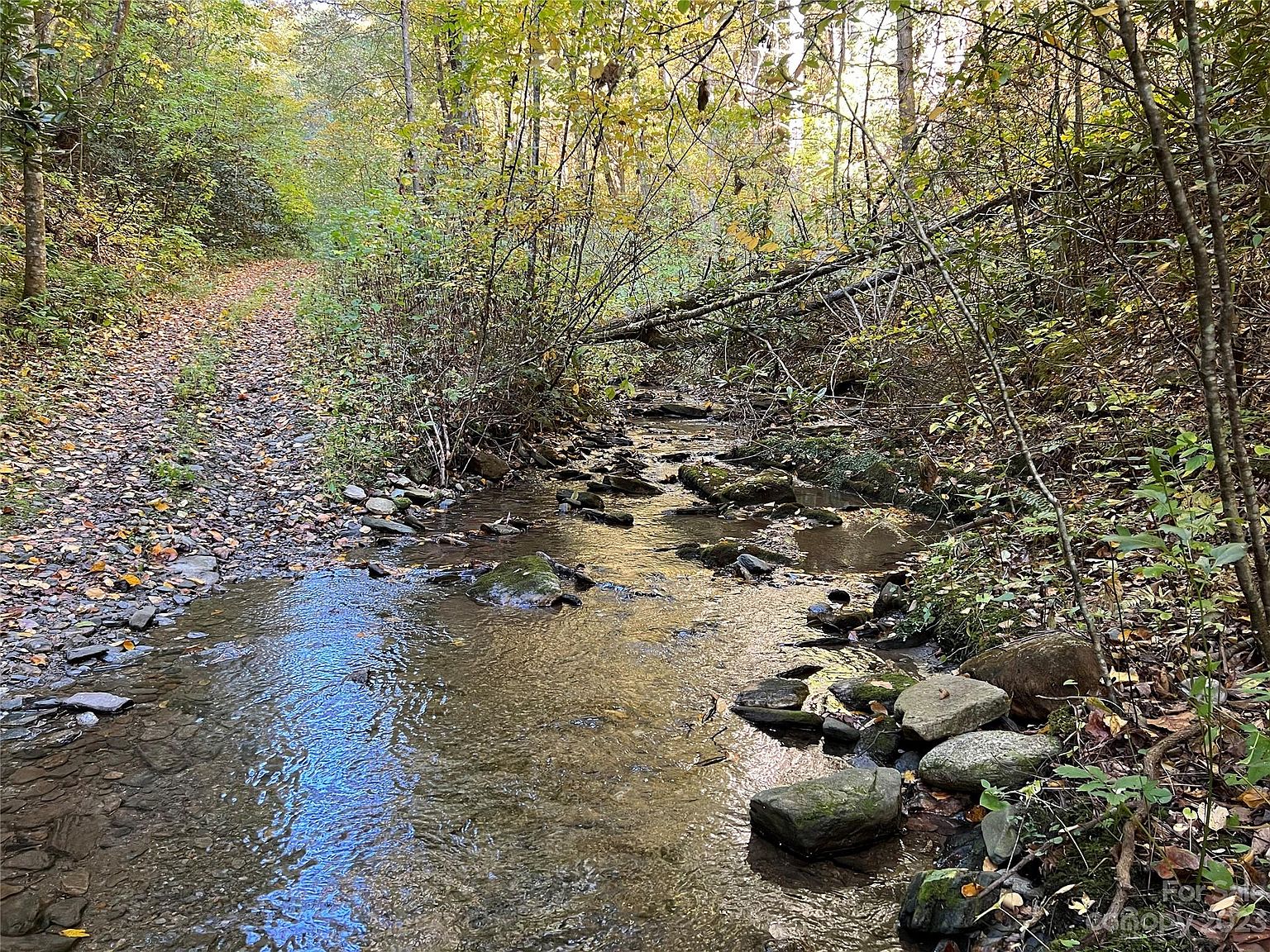 N Old State Highway 16 Hwy, Millers Creek, NC 28651 | MLS #4060229 | Zillow