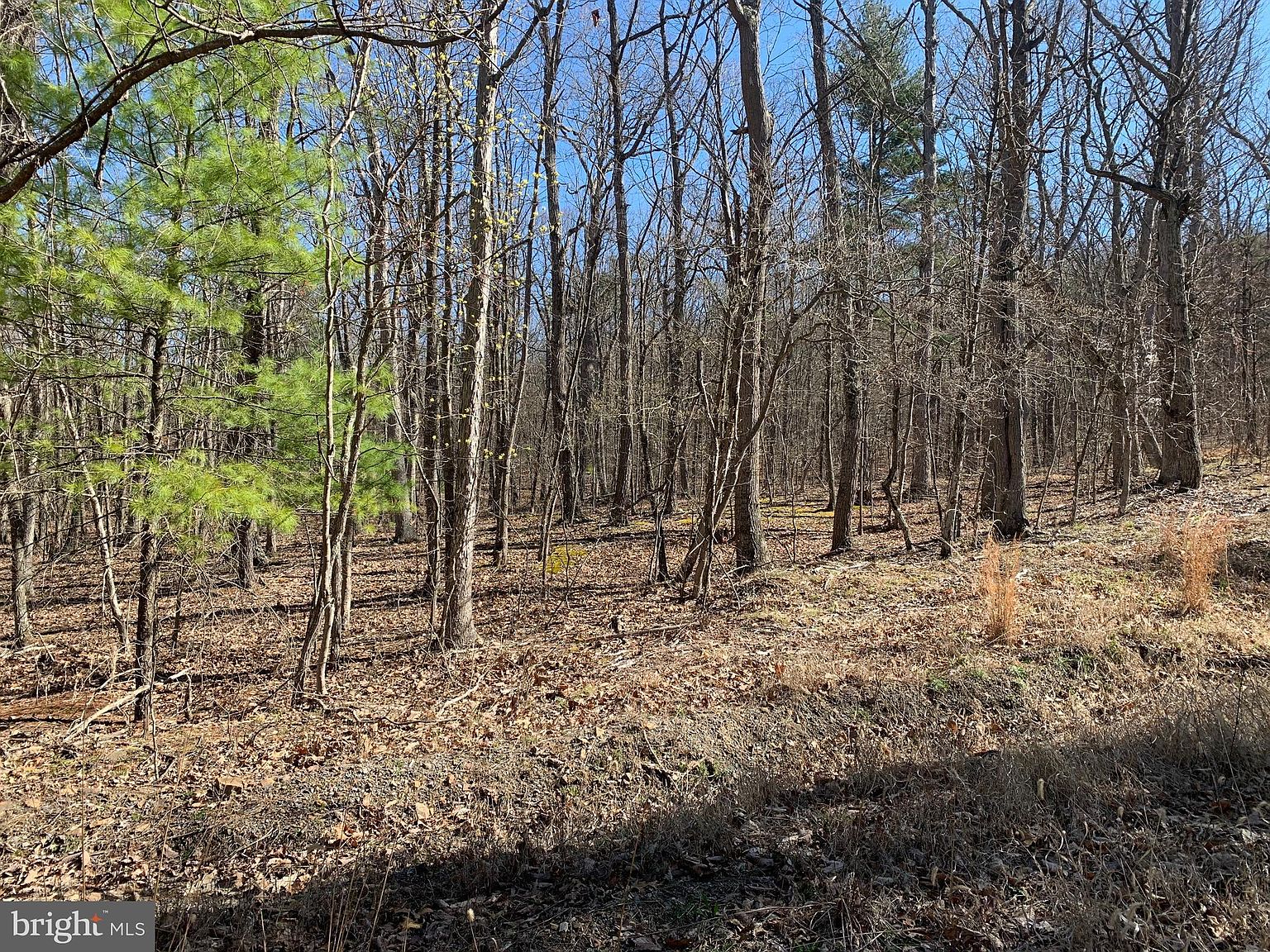 Bunker Ln, Springfield, WV 26763 | Zillow