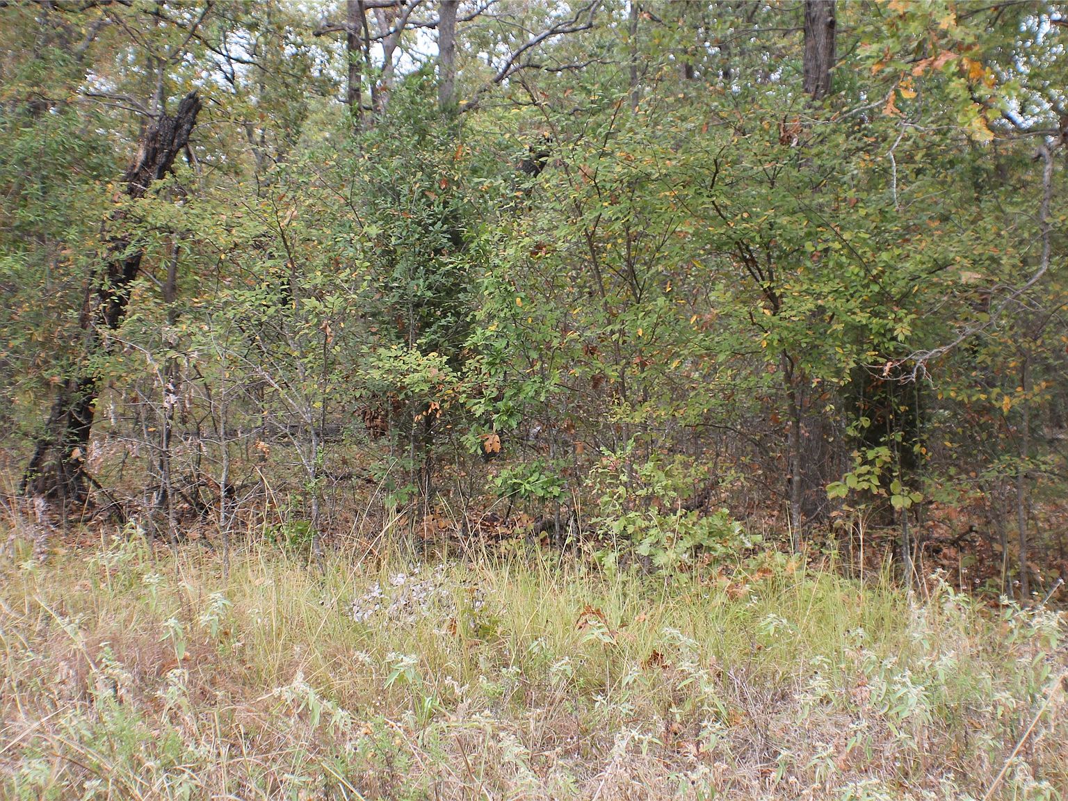 355 Buena Vis, Malakoff, TX 75148 | MLS #20768974 | Zillow