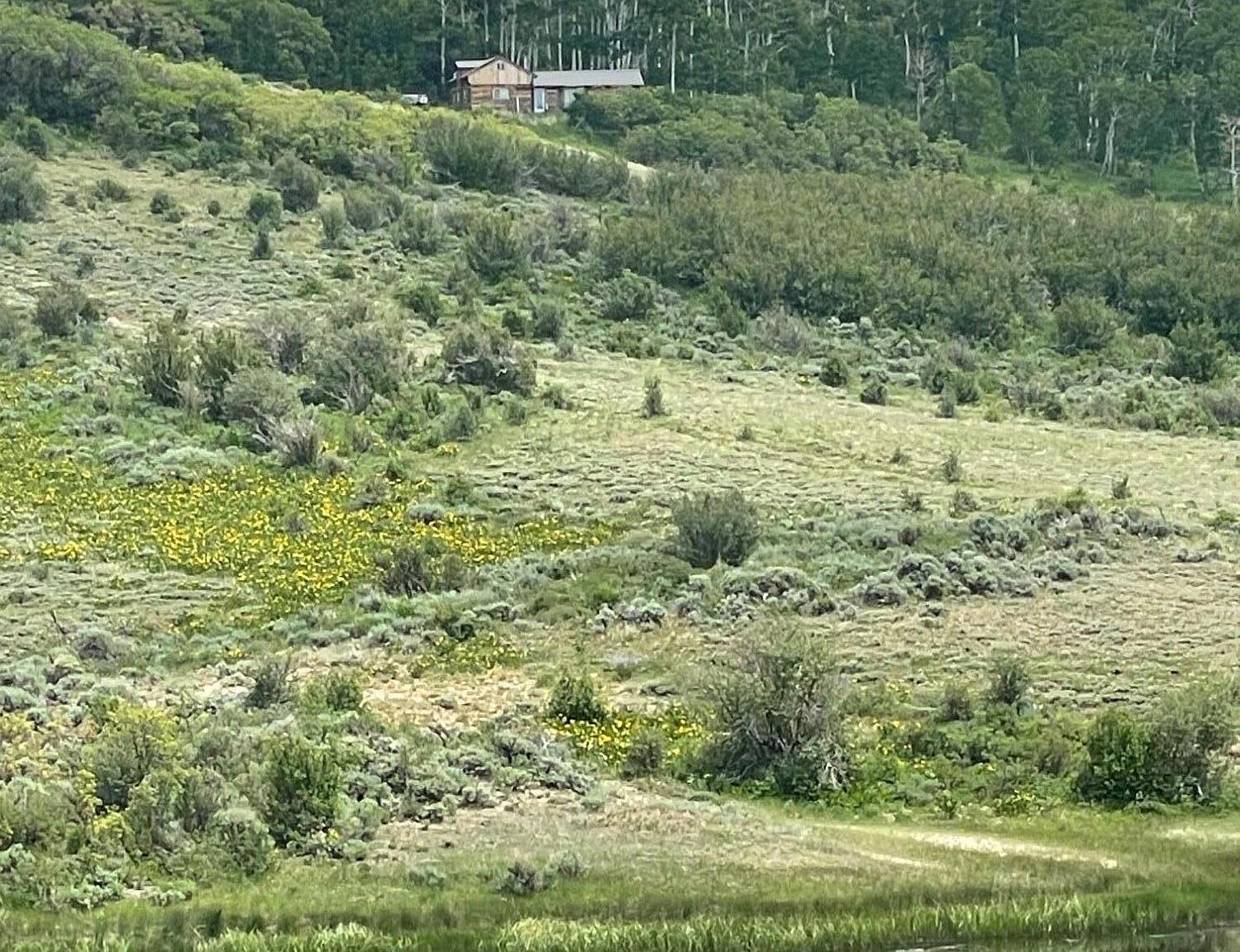 1901 Boulder Dr, Craig, CO 81625 | Zillow