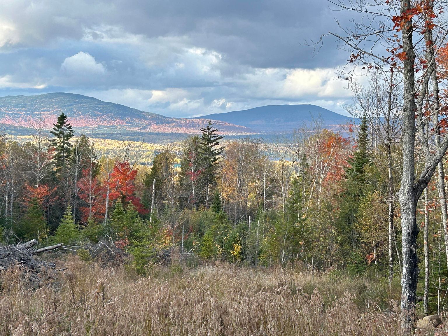 Lot 20 Moose Ridge Road, Rangeley, ME 04970 | Zillow