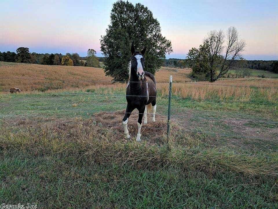 1727 Gr 408 Rd, Lafe, AR 72436 | Zillow