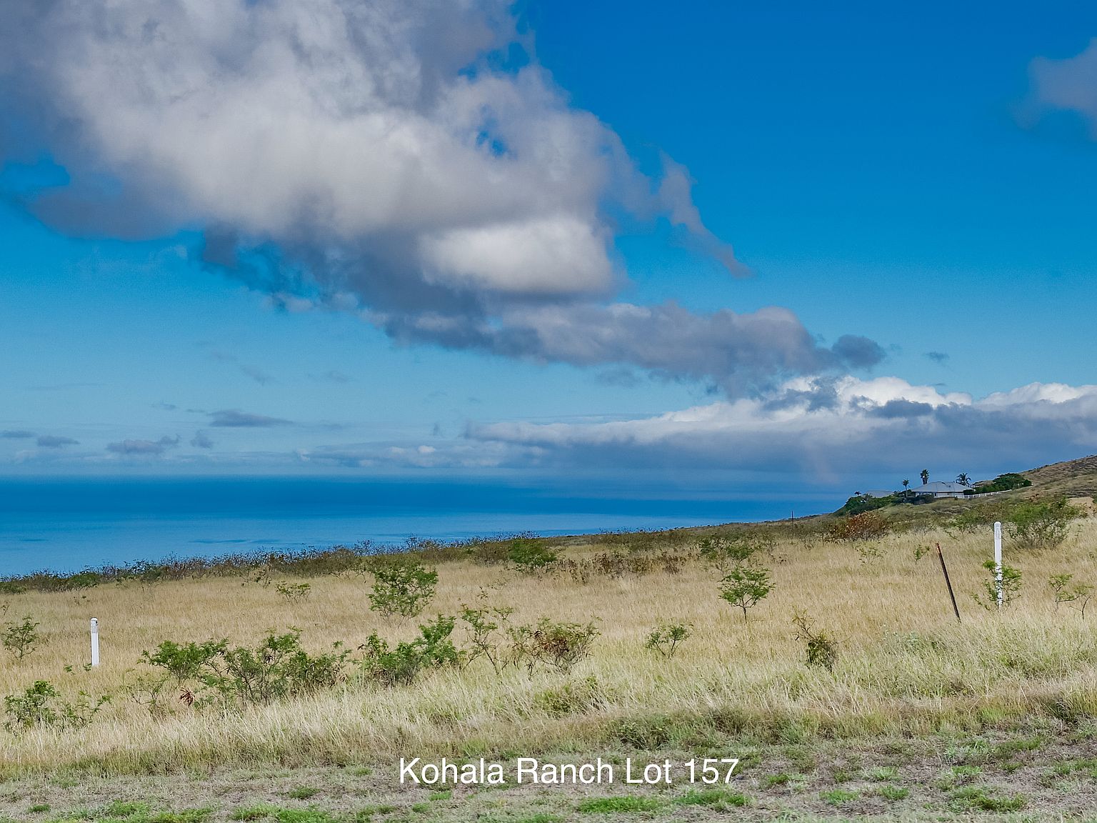 59-1009 Kohala Ranch Rd, Kamuela, HI 96743 | MLS #713605 | Zillow