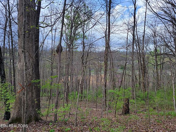 LOT 16 Rifle Range Dr, Knoxville, TN 37918 | MLS #1258143 | Zillow